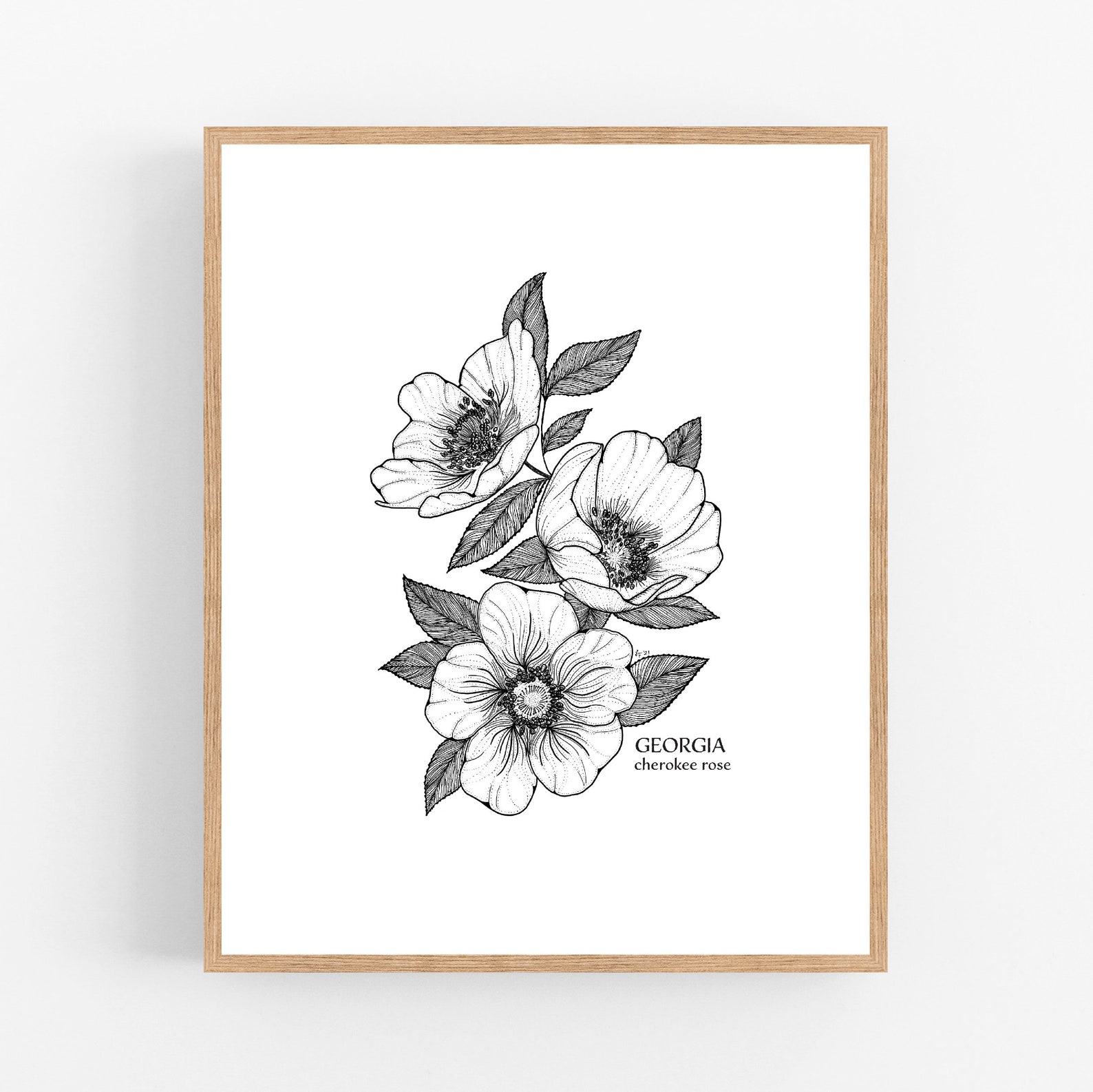 Georgia Cherokee Rose Ink Sketch Print / Printable / Art / Digital ...