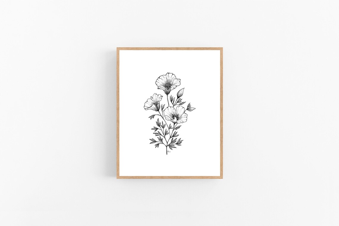 California Poppy Ink Sketch Print / Printable / Art / Digital | Etsy