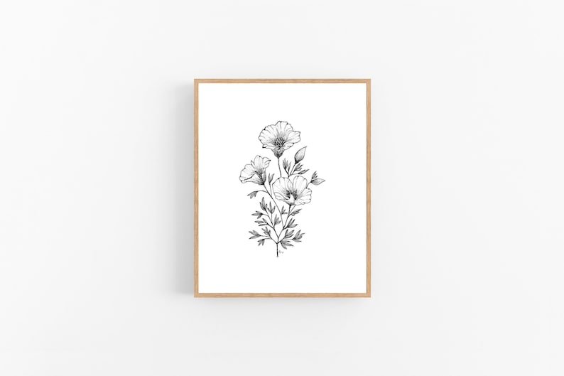 California Poppy Ink Sketch Print / Printable / Art / Digital | Etsy