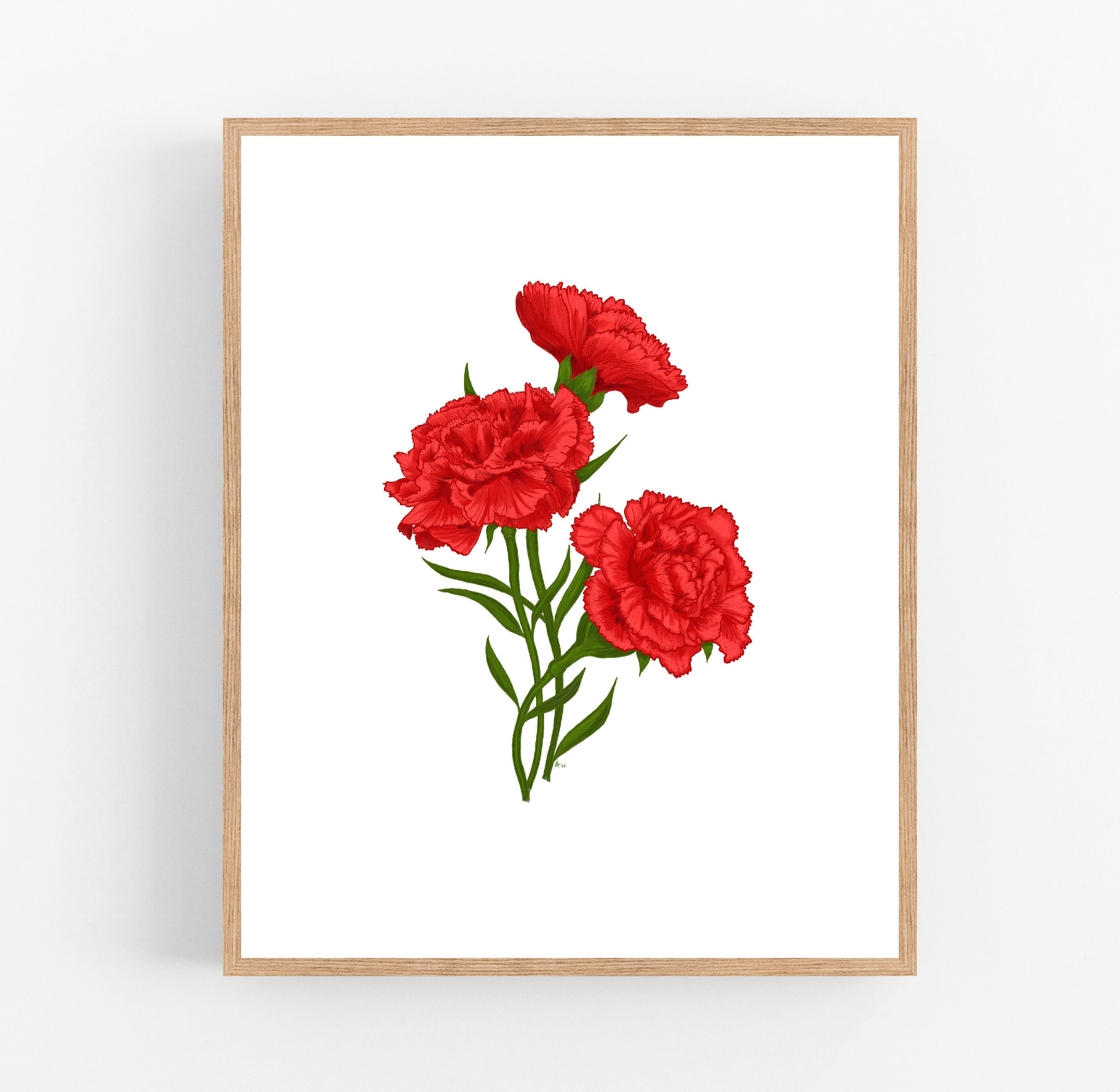 Scarlet Carnation Illustration Print / Printable / Art / Digital ...