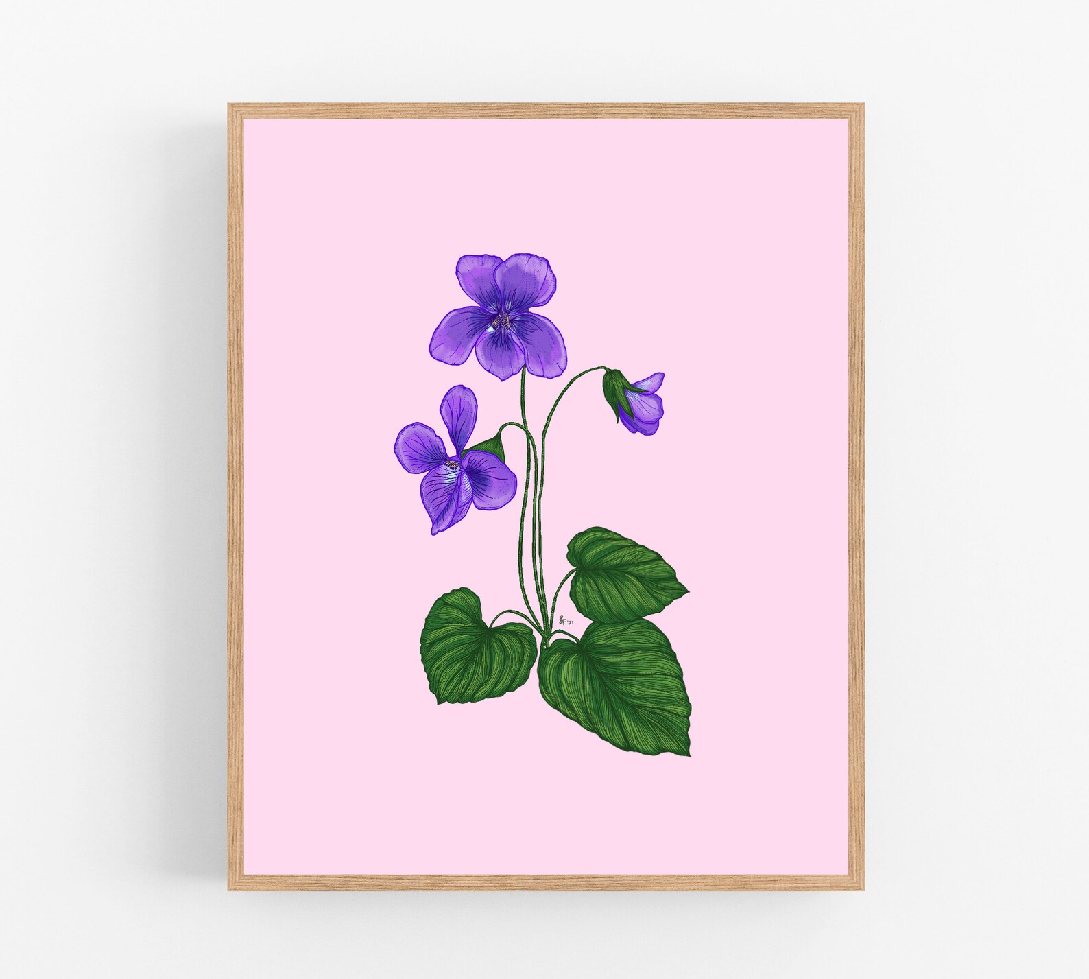 Violet Illustration / Printable / Art / Digital Download / Color Sketch ...