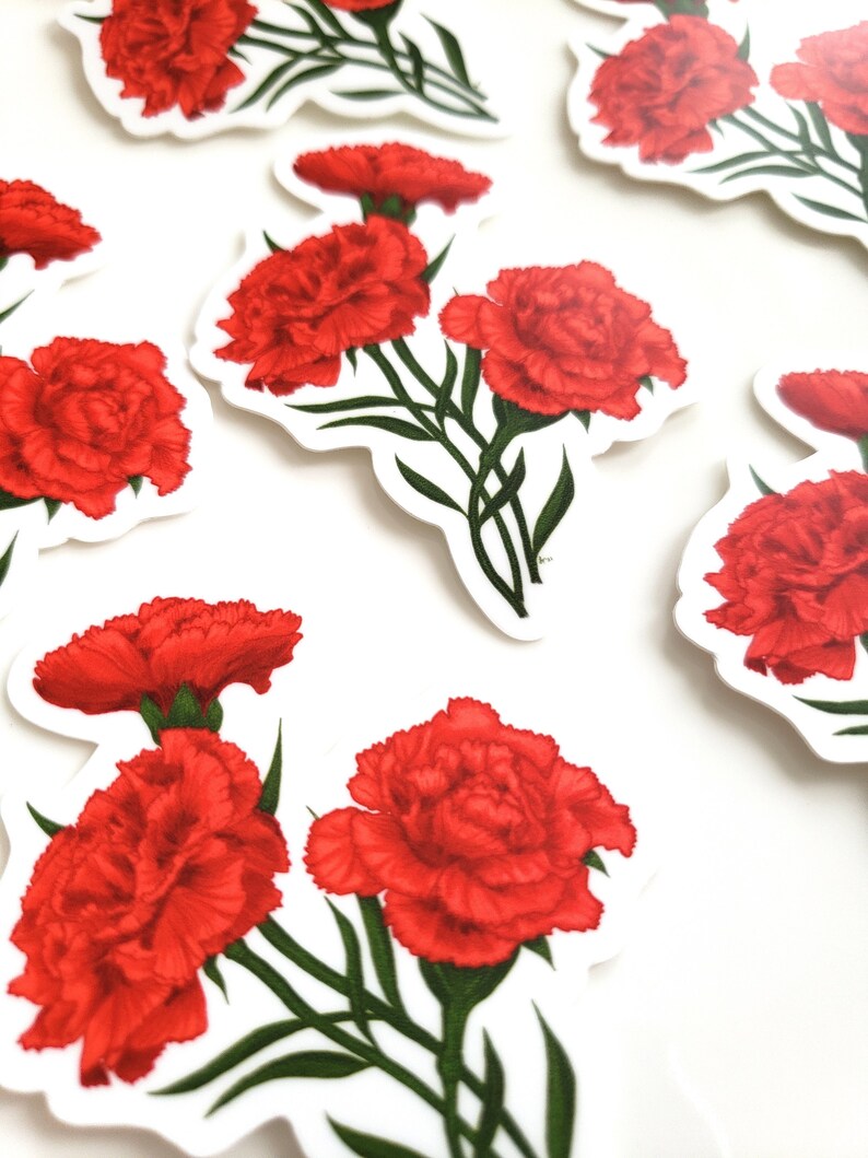 3" Scarlet Carnation Vinyl Sticker / Waterproof Carnation Decal / Ohio ...