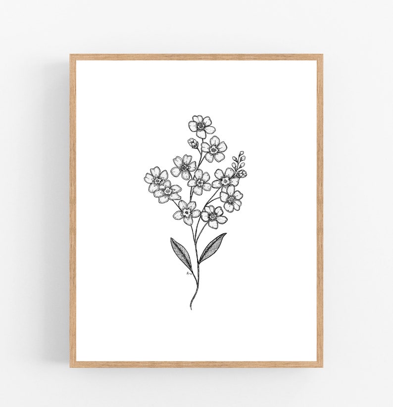 Forget-me-not Ink Sketch Print / Forget Me Not Printable / Art - Etsy