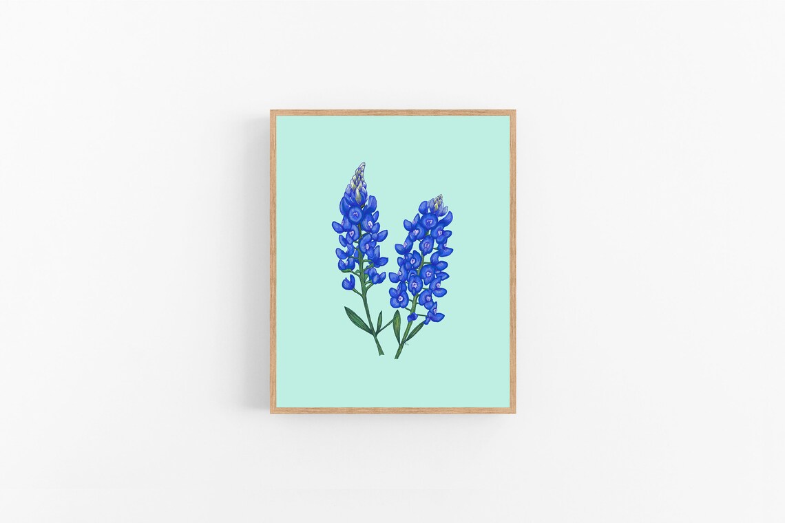 Bluebonnet Illustration / Printable / Art / Digital Download / | Etsy