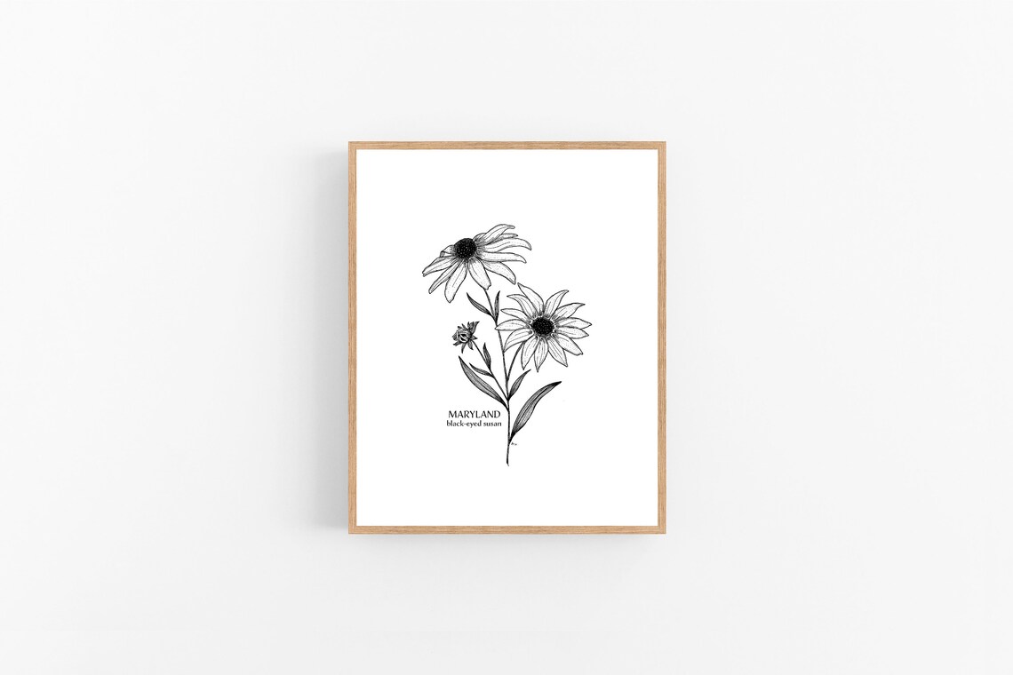 Maryland Black-eyed Susan State Flower Print / Printable / Art - Etsy