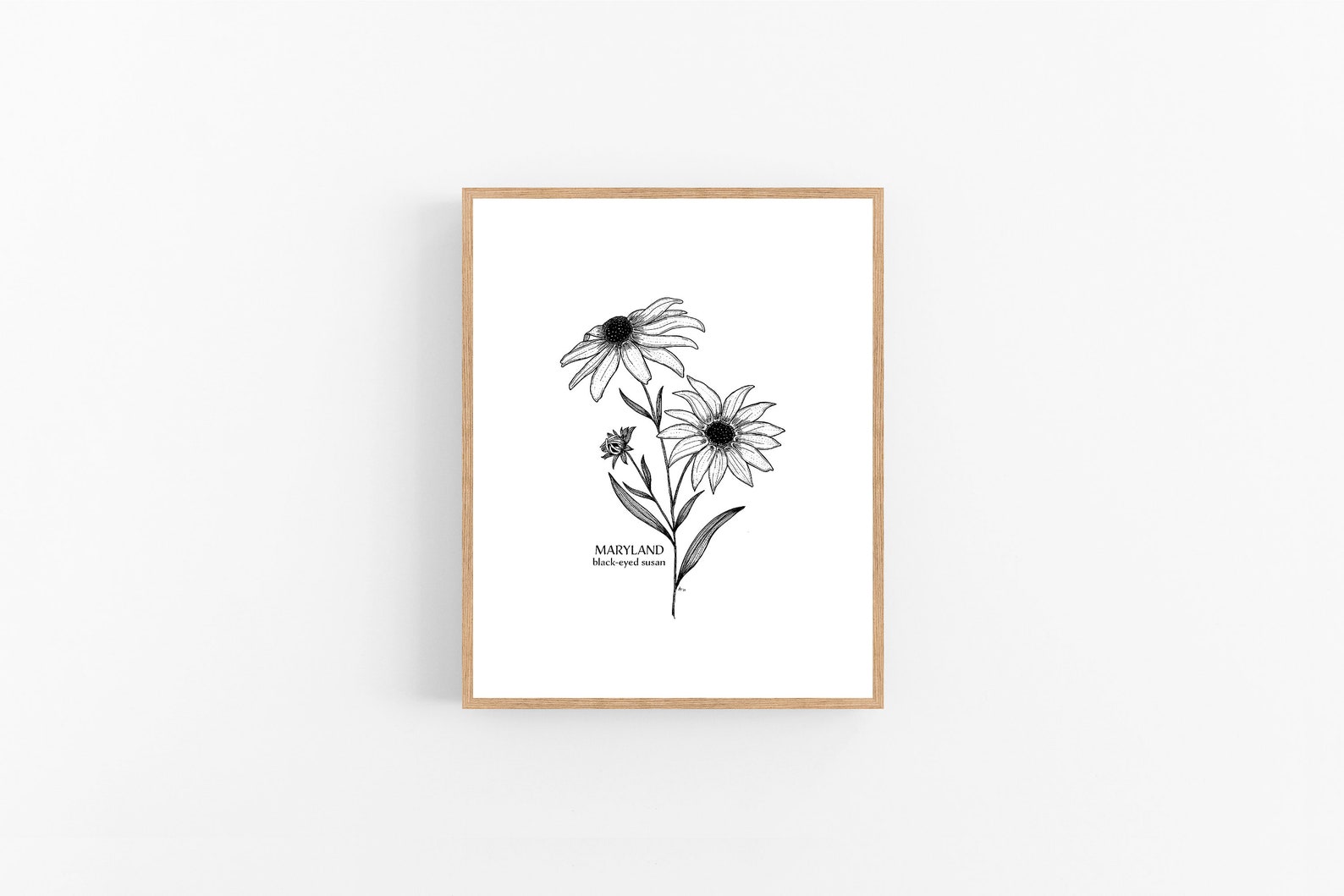 Maryland Black-eyed Susan State Flower Print / Printable / Art - Etsy