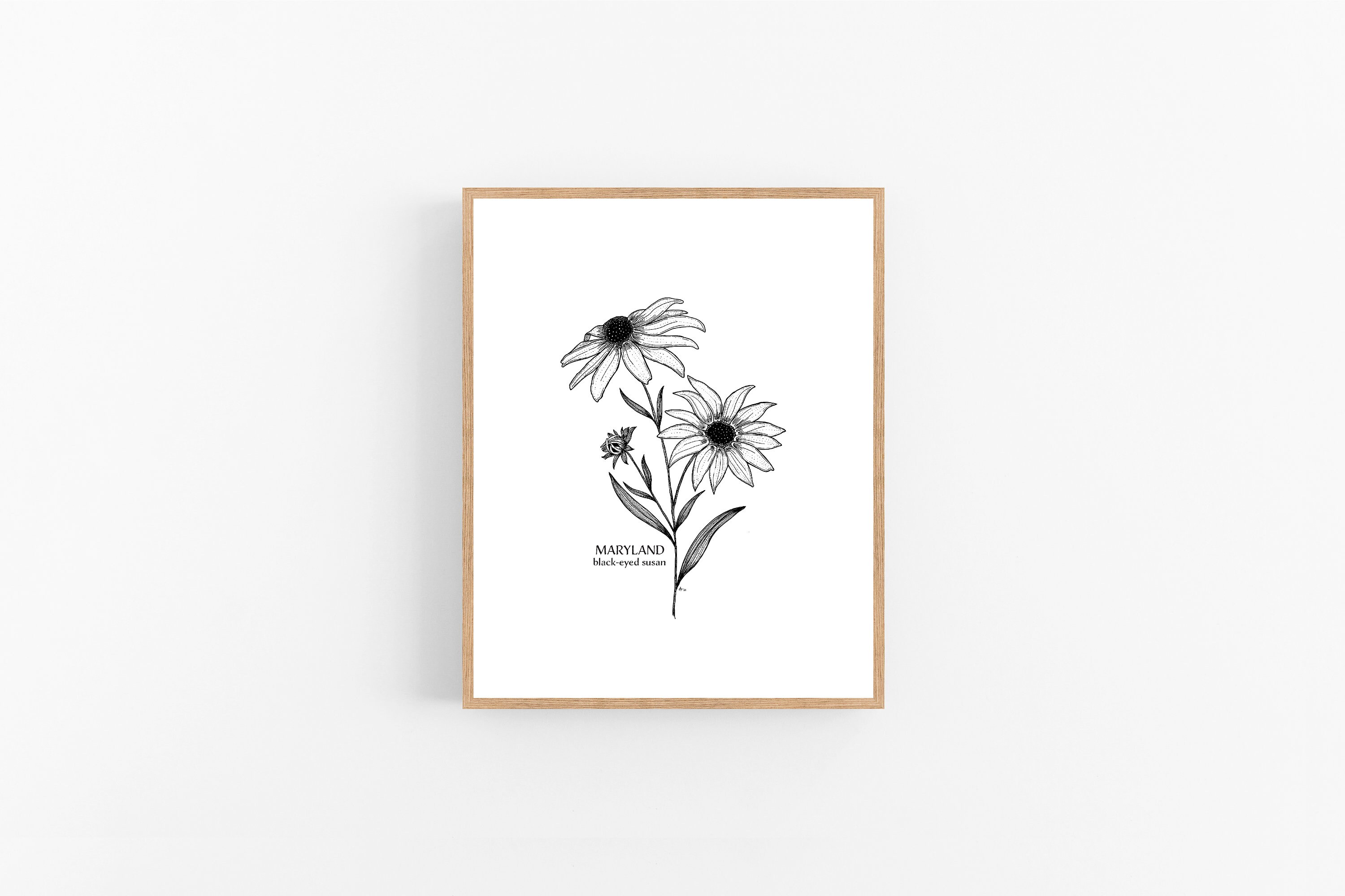 Maryland Black-eyed Susan State Flower Print / Printable / Art ...