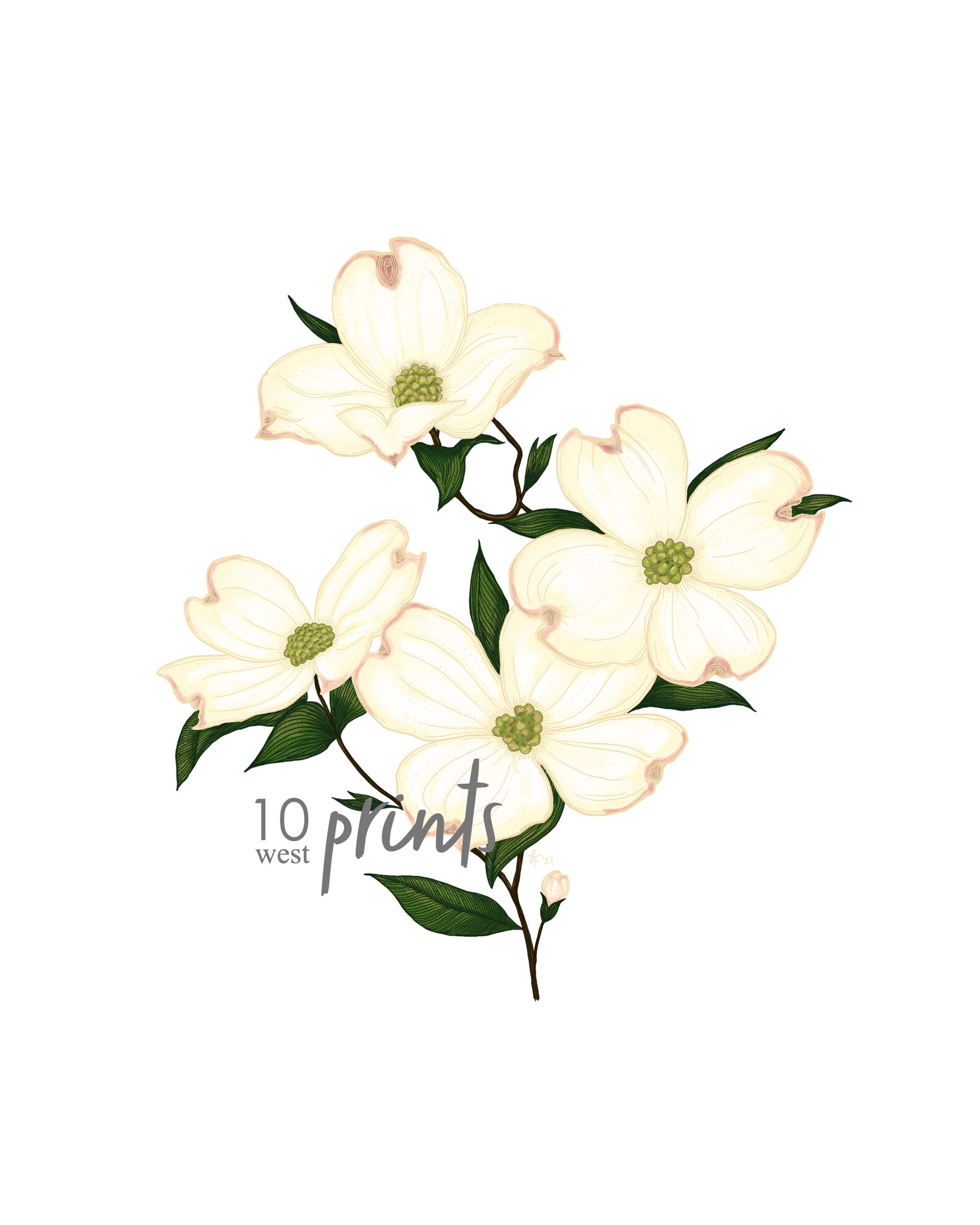 Dogwood Print / Printable / Art / Digital Download / - Etsy
