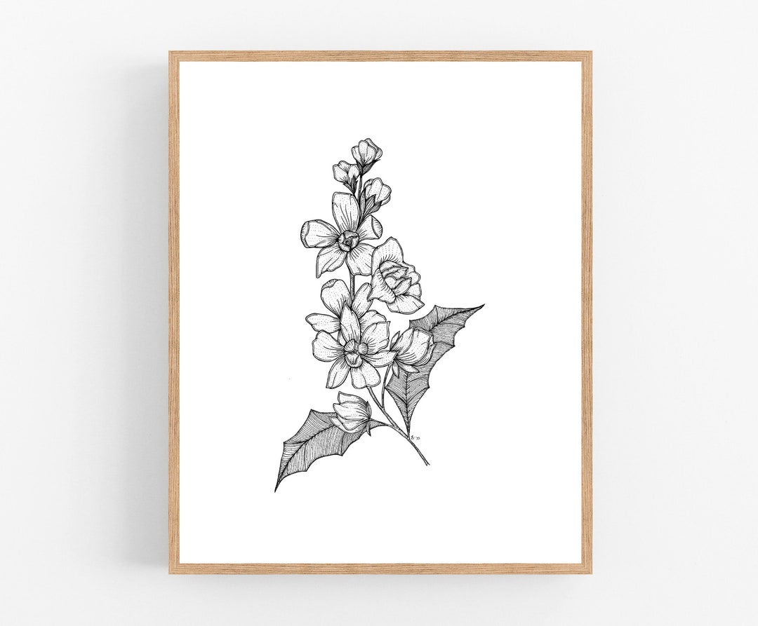 Oregon Grape Ink Sketch Illustration Print / Printable / Art / Digital ...