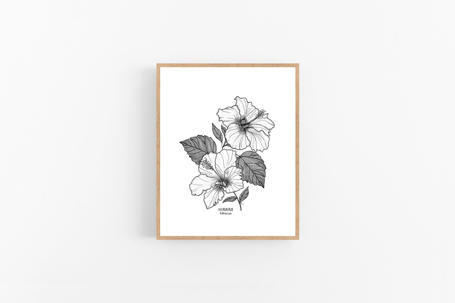 Hawaii Hibiscus Ink Sketch Print / Printable / Art / Digital Download ...