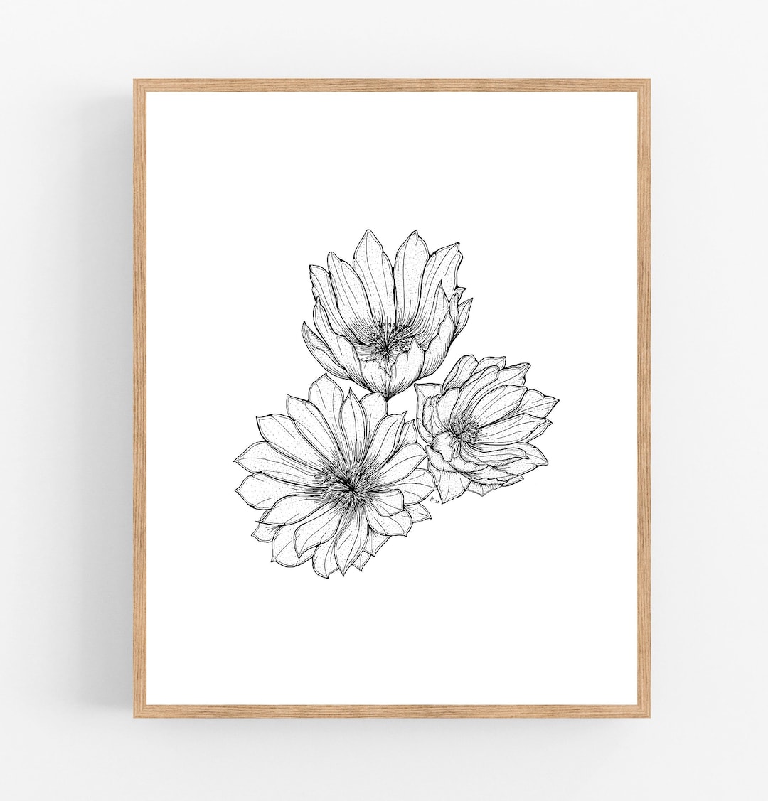 Bitterroot Ink Sketch Print / Printable / Art / Digital Download / Pen ...