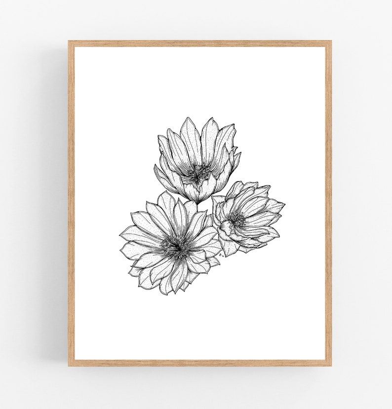 Bitterroot Ink Sketch Print / Printable / Art / Digital Download / Pen ...