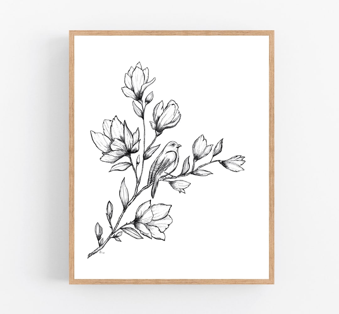 Magnolia Bird Ink Sketch Print / Printable / Art / Digital Download ...