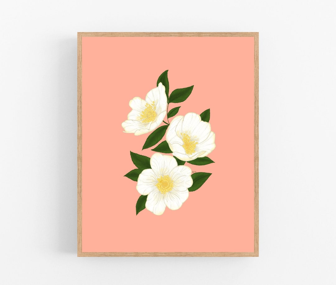 Cherokee Rose Illustration / Printable / Art / Digital Download / Color ...