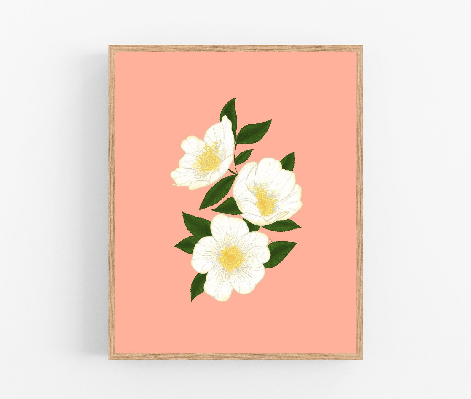 Cherokee Rose Illustration / Printable / Art / Digital - Etsy