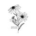 Maryland Black-eyed Susan State Flower Print / Printable / Art ...