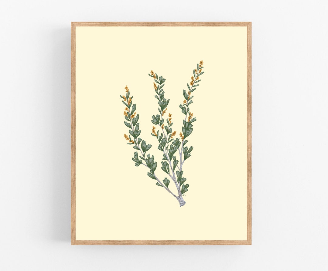 Sagebrush Branch Illustration / Printable / Art / Digital Download ...