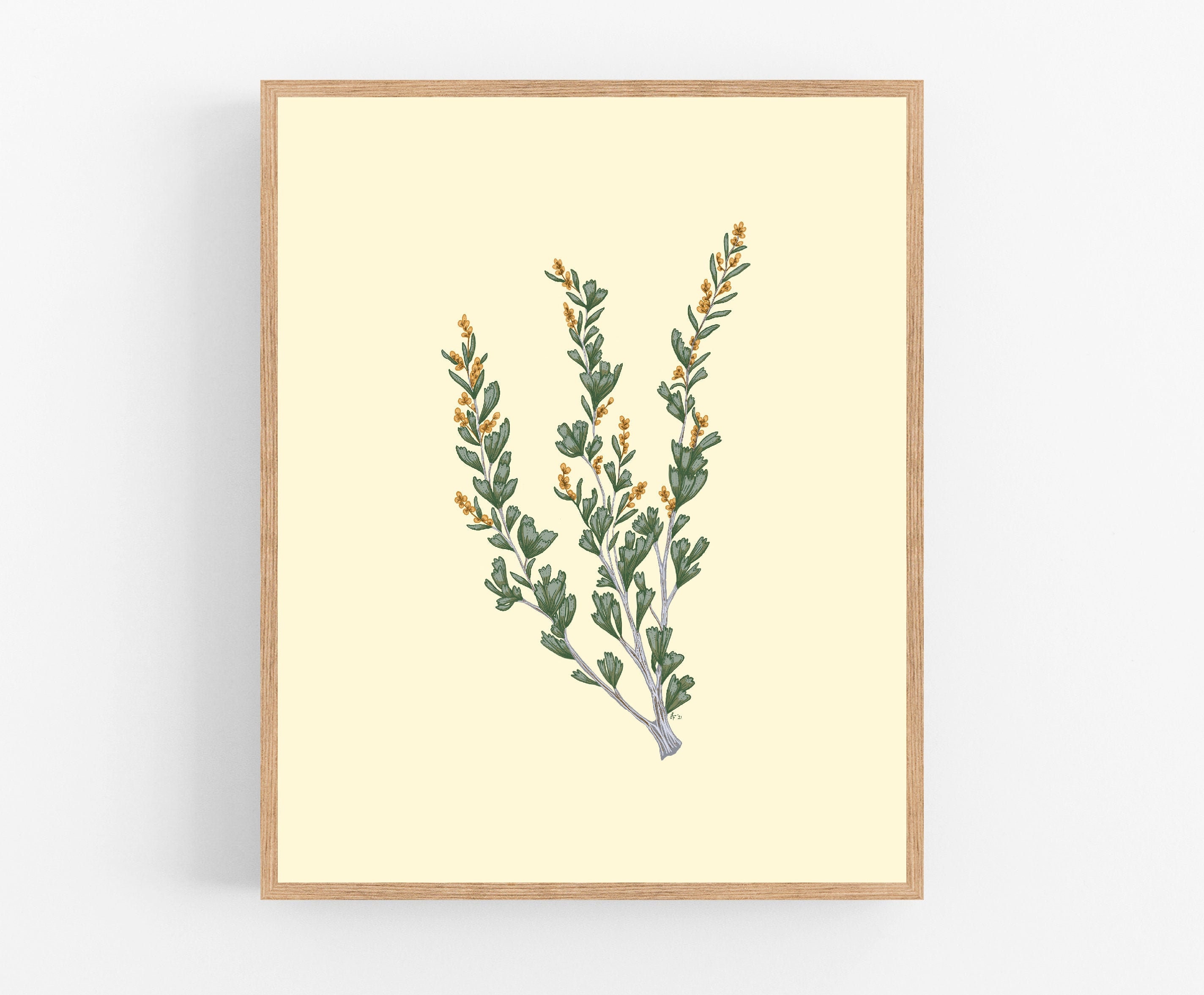 Sagebrush Branch Illustration / Printable / Art / Digital Download ...