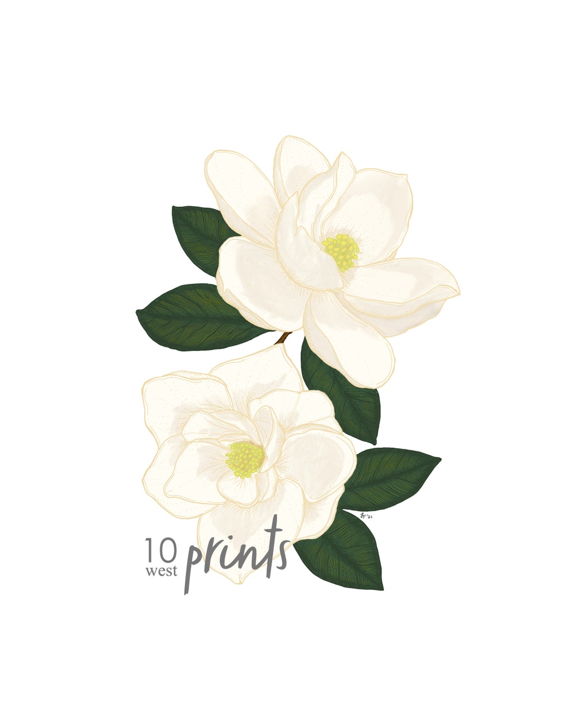 Magnolia Color Illustration Print / Printable / Art / Digital Download ...