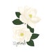 Magnolia Color Illustration Print / Printable / Art / Digital Download ...