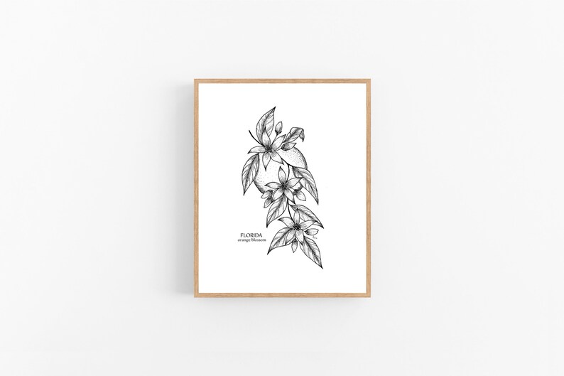 Florida Orange Blossom Ink Sketch Print / Printable / Art / Digital ...