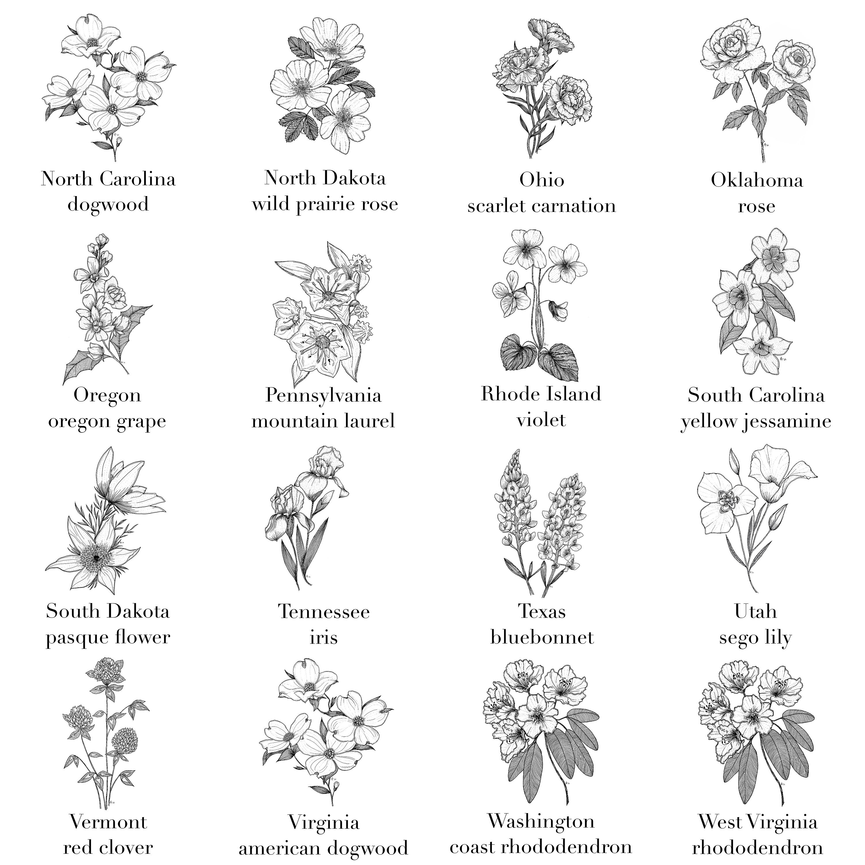 Custom Name State Flower Garden Digital Download / Personalized State ...