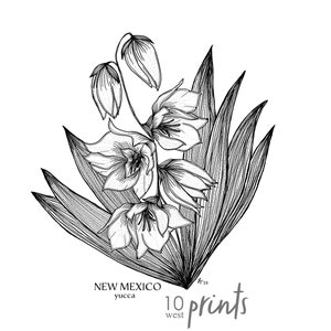 New Mexico Yucca Black Ink Illustration / Yucca Print Drawing ...