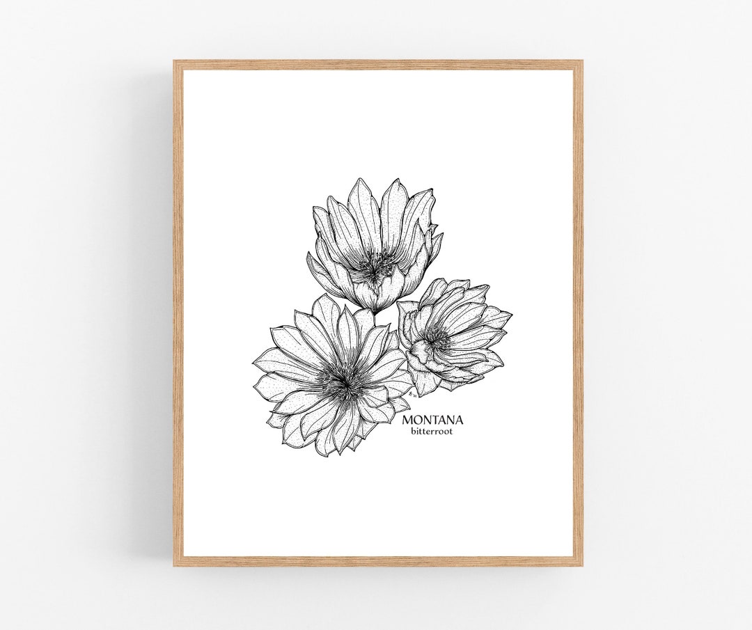 Montana Bitterroot Ink Sketch Print / Printable / Art / Digital ...