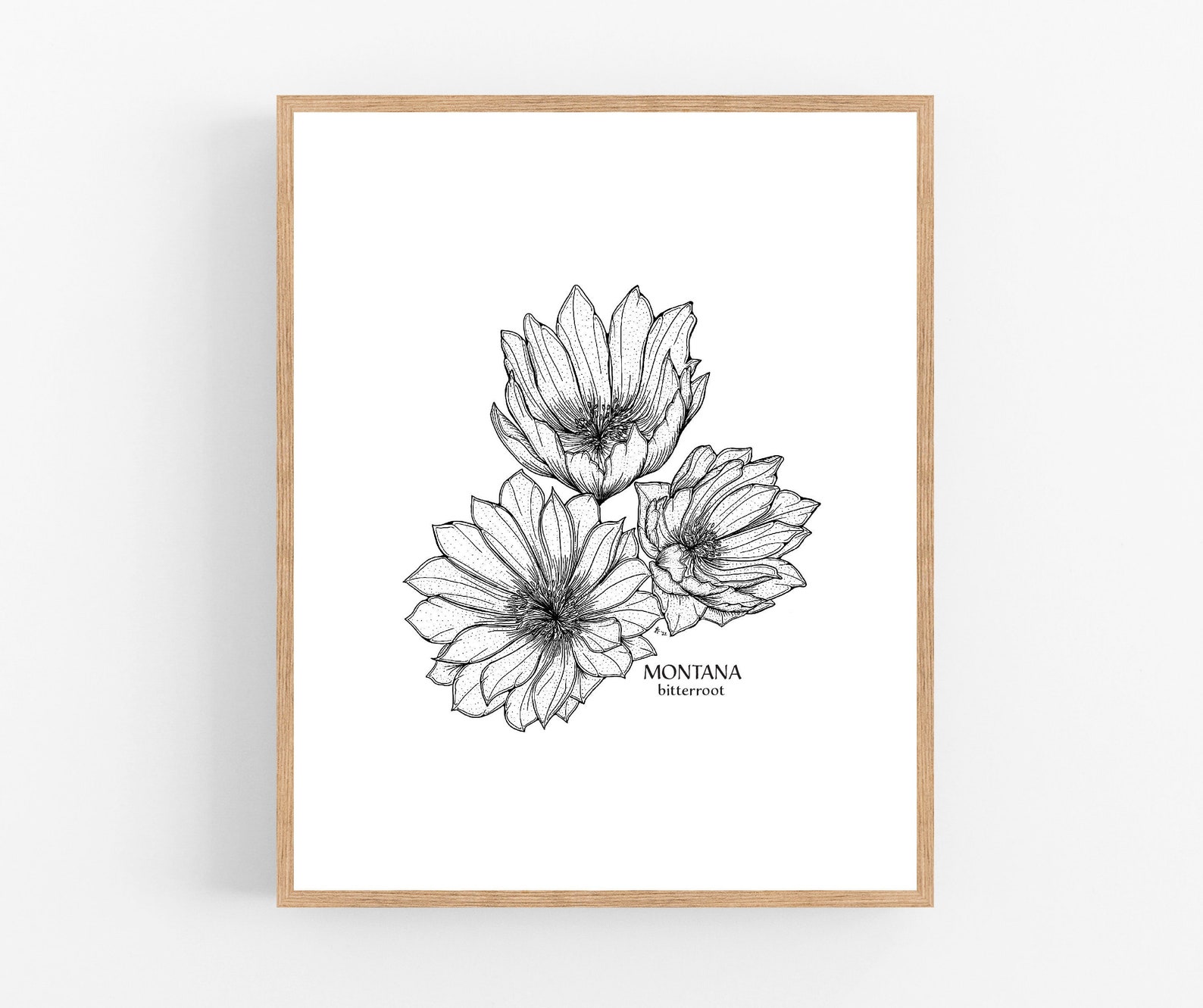 Montana Bitterroot Ink Sketch Print / Printable / Art / Digital ...