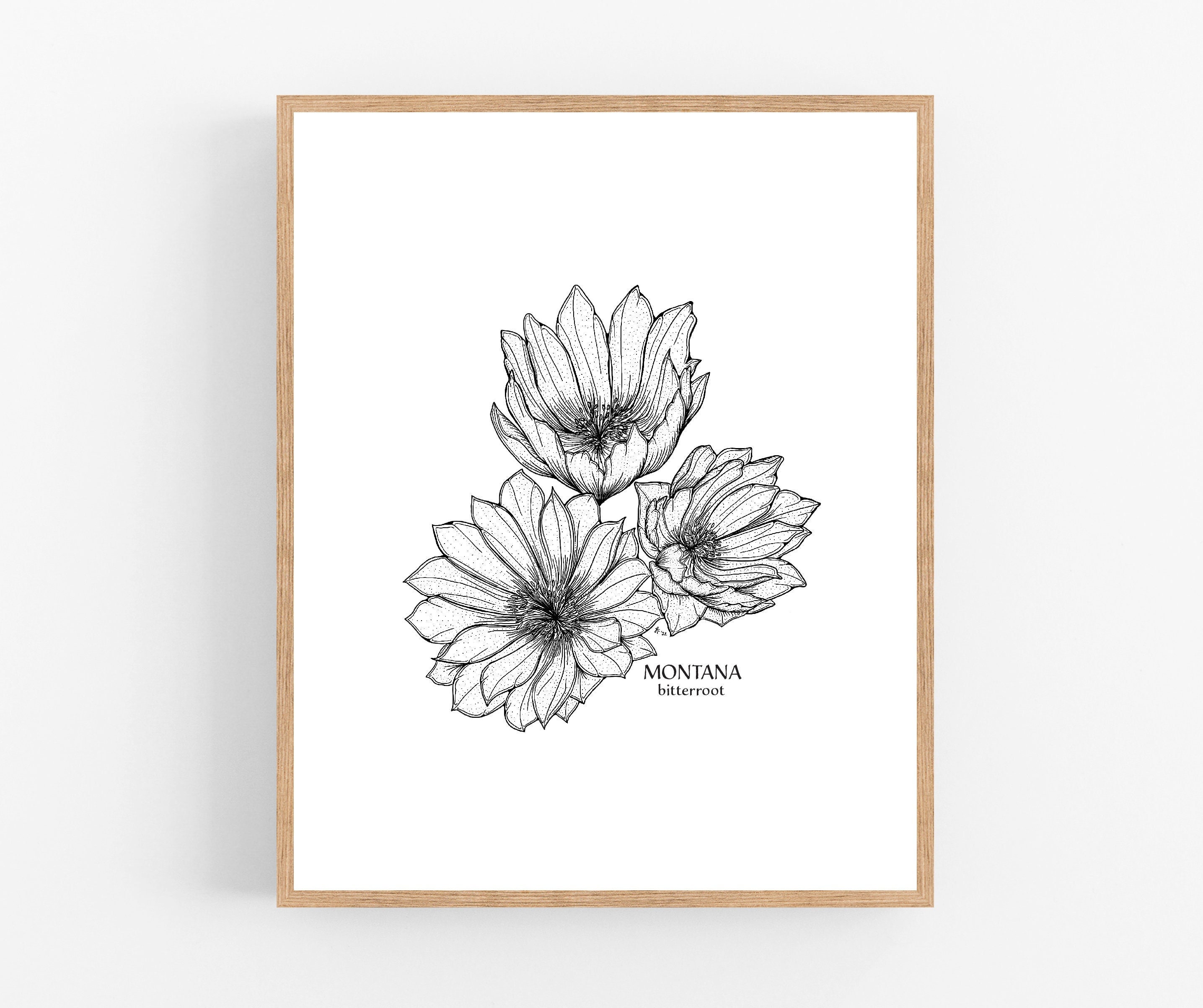 Bitterroot Flower Tattoo