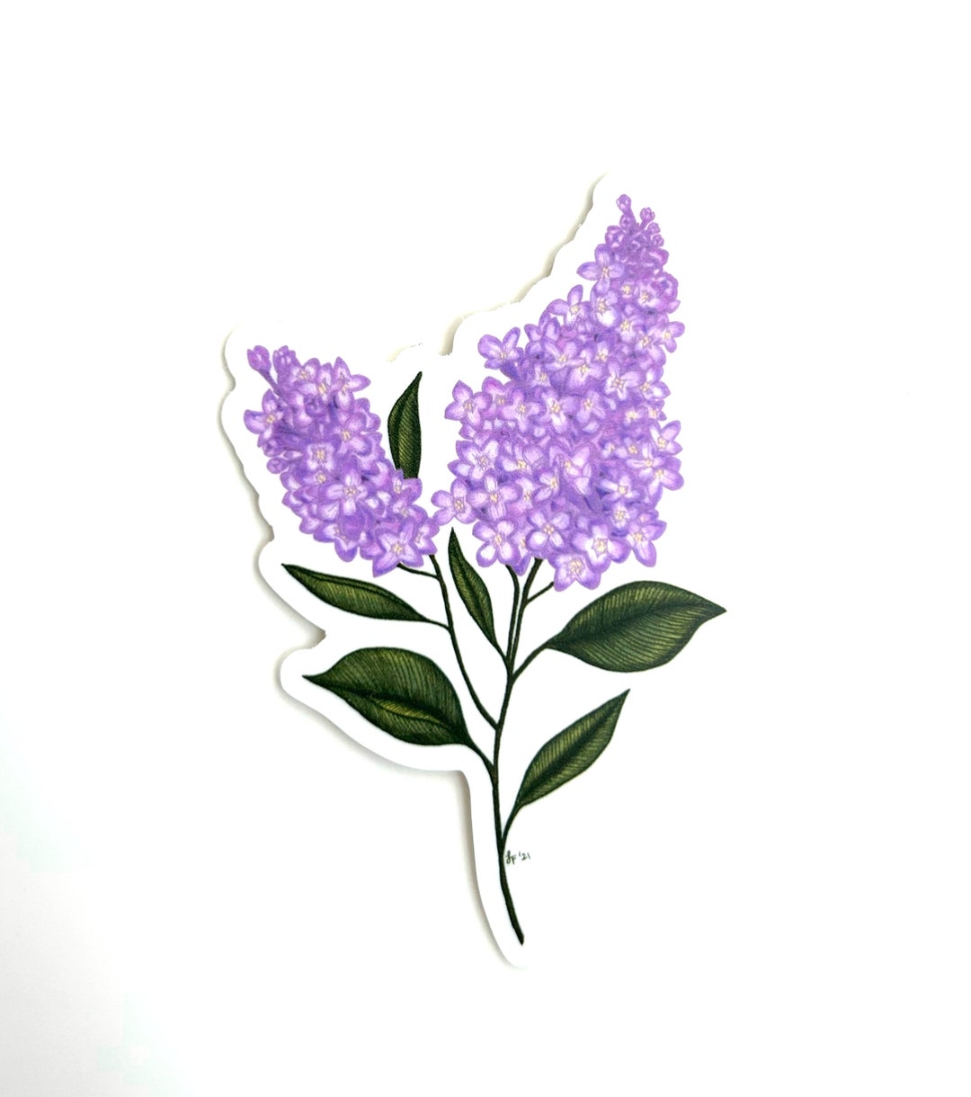3" Lilac Vinyl Sticker / Waterproof Purple Lilac Decal / New Hampshire ...