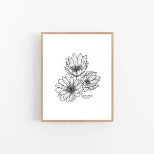 Montana Bitterroot Ink Sketch Print / Printable / Art / Digital ...