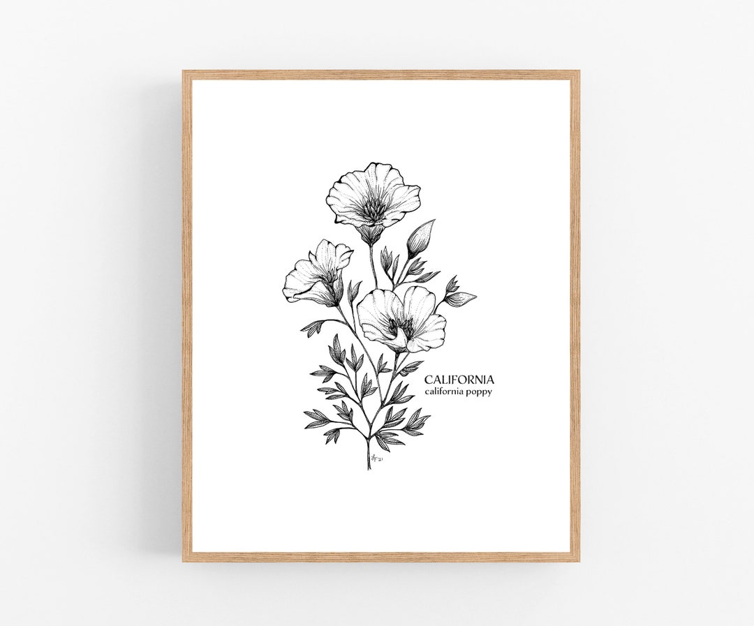 California Poppy Ink Sketch Print / Printable / Art / Digital Download ...