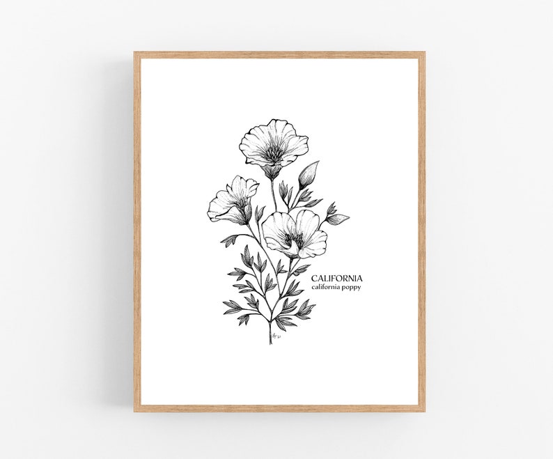 California Poppy Ink Sketch Print / Printable / Art / Digital - Etsy