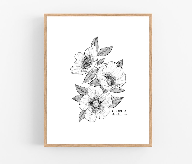 Georgia Cherokee Rose Ink Sketch Print / Printable / Art / Digital ...