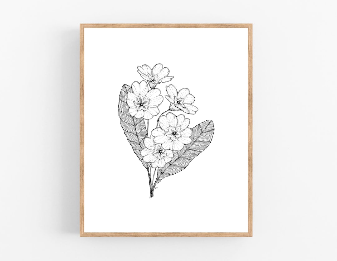 Primrose Ink Sketch Print / Printable / Art / Digital Download ...