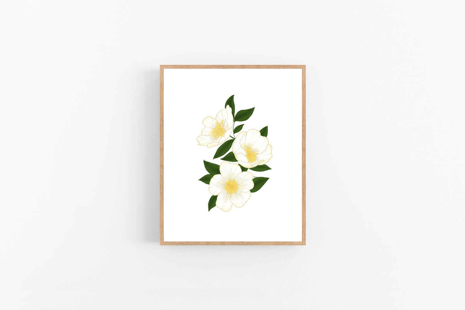 Cherokee Rose Illustration / Printable / Art / Digital - Etsy