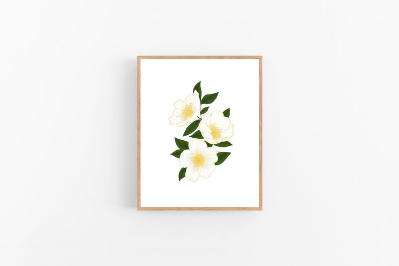 Cherokee Rose Illustration / Printable / Art / Digital - Etsy