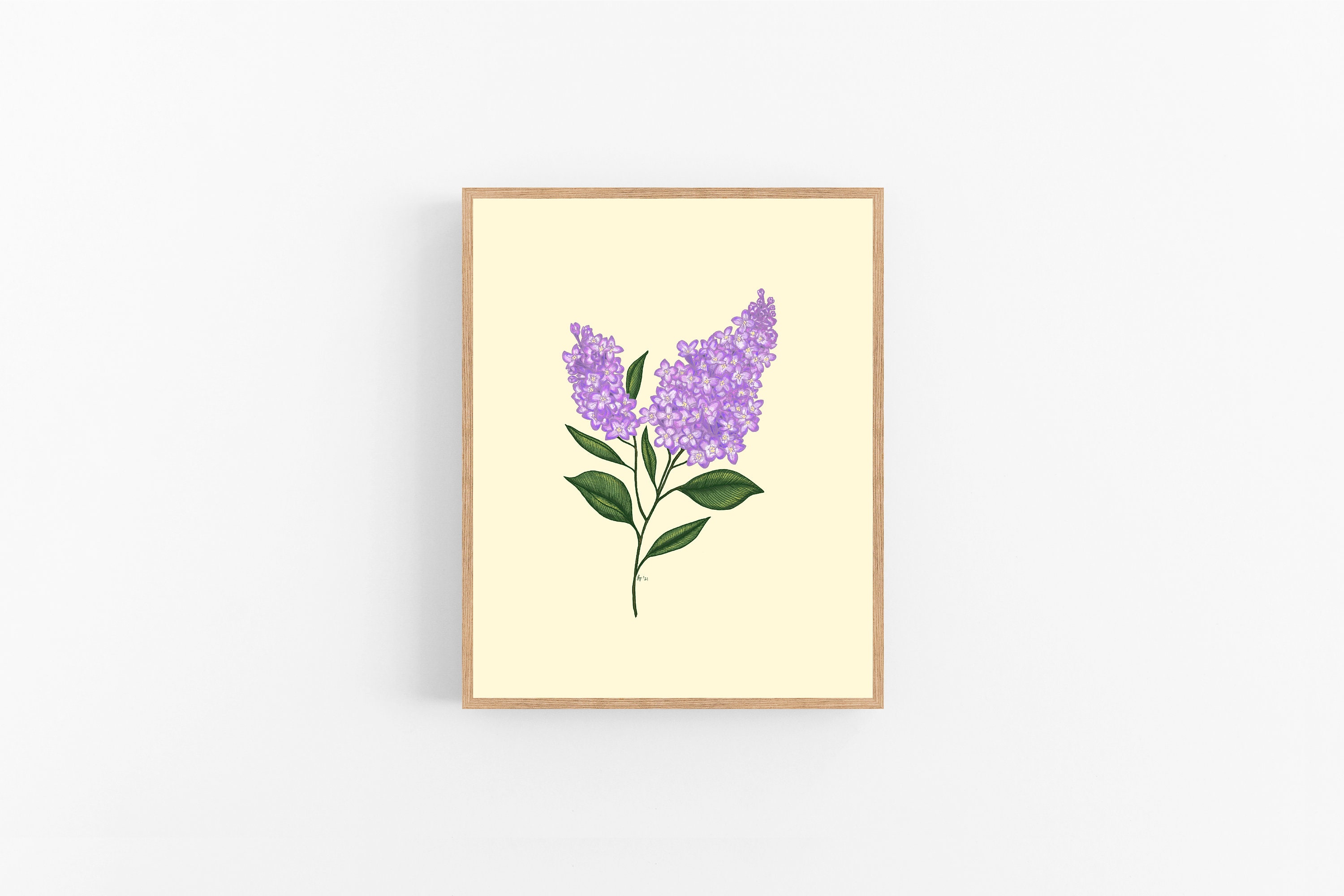 Purple Lilac Illustration Print / Printable / Art / Digital Download ...