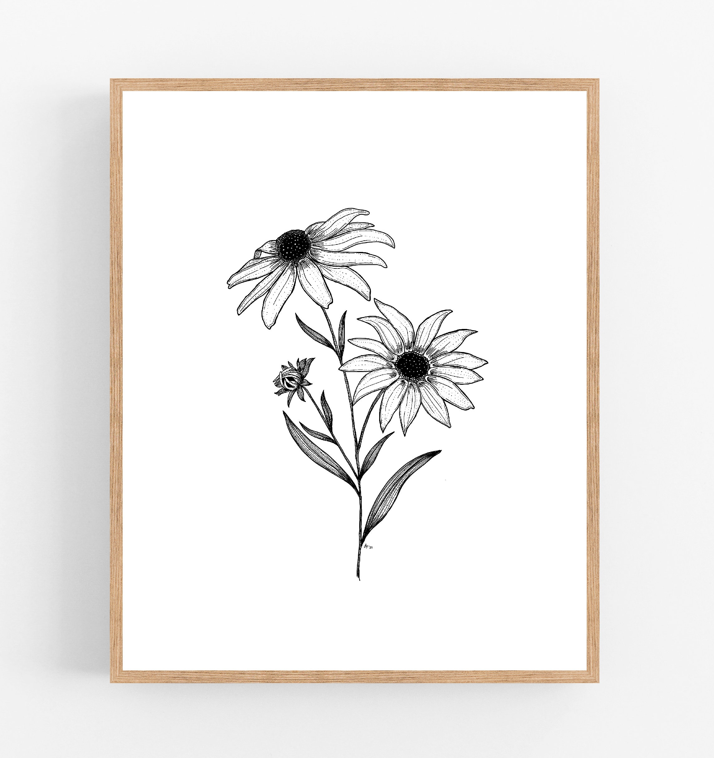 Black-eyed Susan Ink Sketch Print / Printable / Art / Digital Download ...