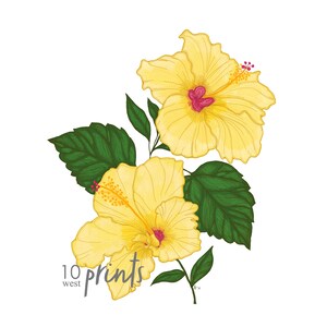 Yellow Hibiscus Illustration Print / Printable / Art / Digital Download ...