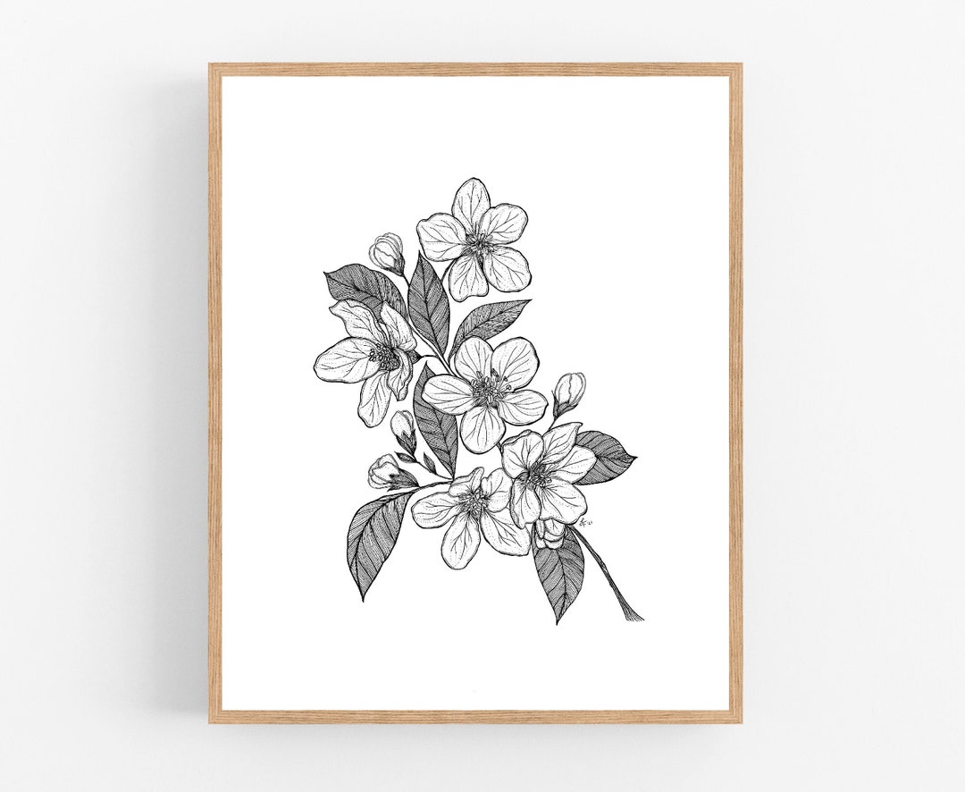 Apple Blossom Ink Sketch Print / Printable / Art / Digital Download ...