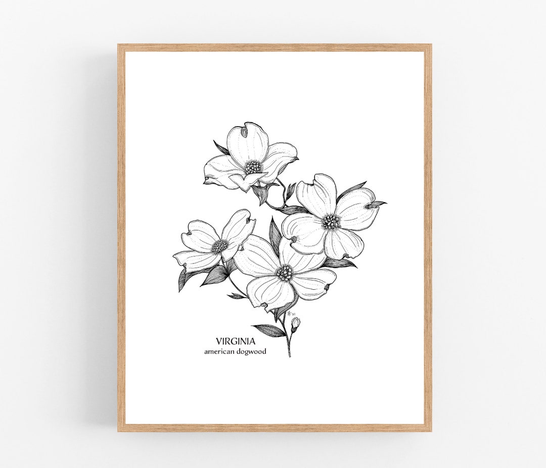 Virginia Dogwood Ink Sketch Print / Printable / Art / Digital Download ...