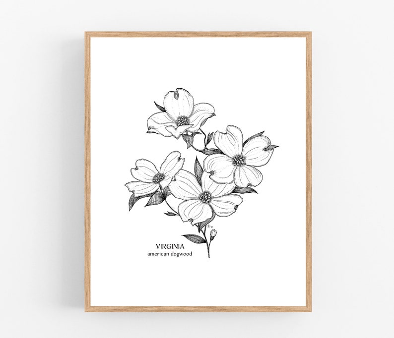 Virginia Dogwood Ink Sketch Print / Printable / Art / Digital - Etsy