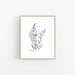 Nebraska Goldenrod Ink Illustration / Goldenrod Print Drawing ...
