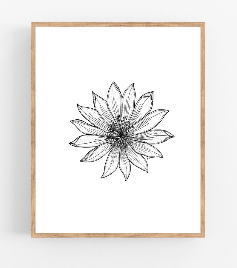 Bitterroot Black Ink Illustration Digital Download / Montana State ...
