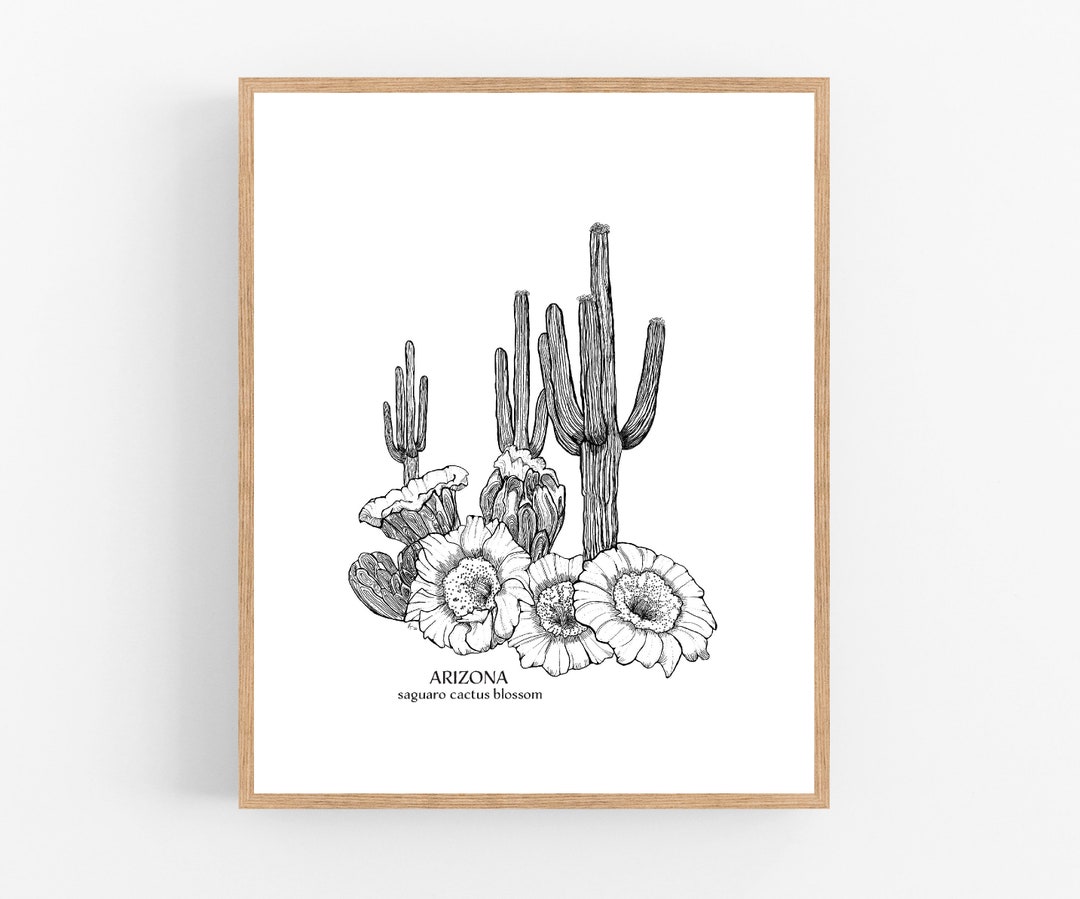 Arizona Saguaro Cactus Blossom Ink Sketch Print / Printable Art ...