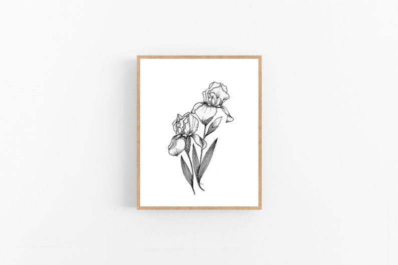 Iris Ink Sketch Illustration Print / Printable / Art / Digital - Etsy