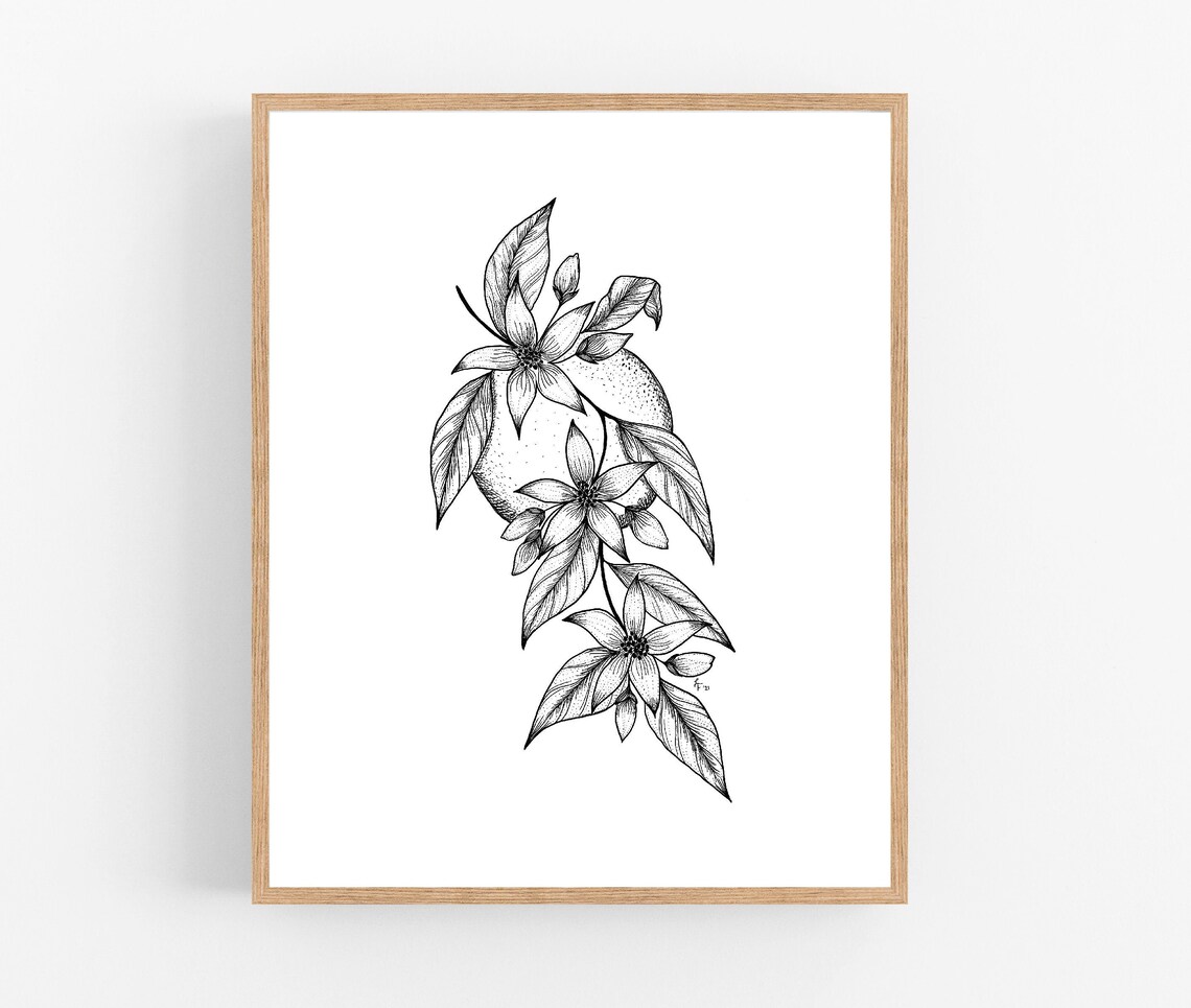 Orange Blossom Ink Sketch Print / Printable / Art / Digital Download ...