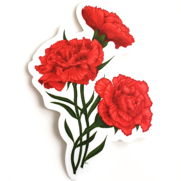 Red Carnation - Etsy